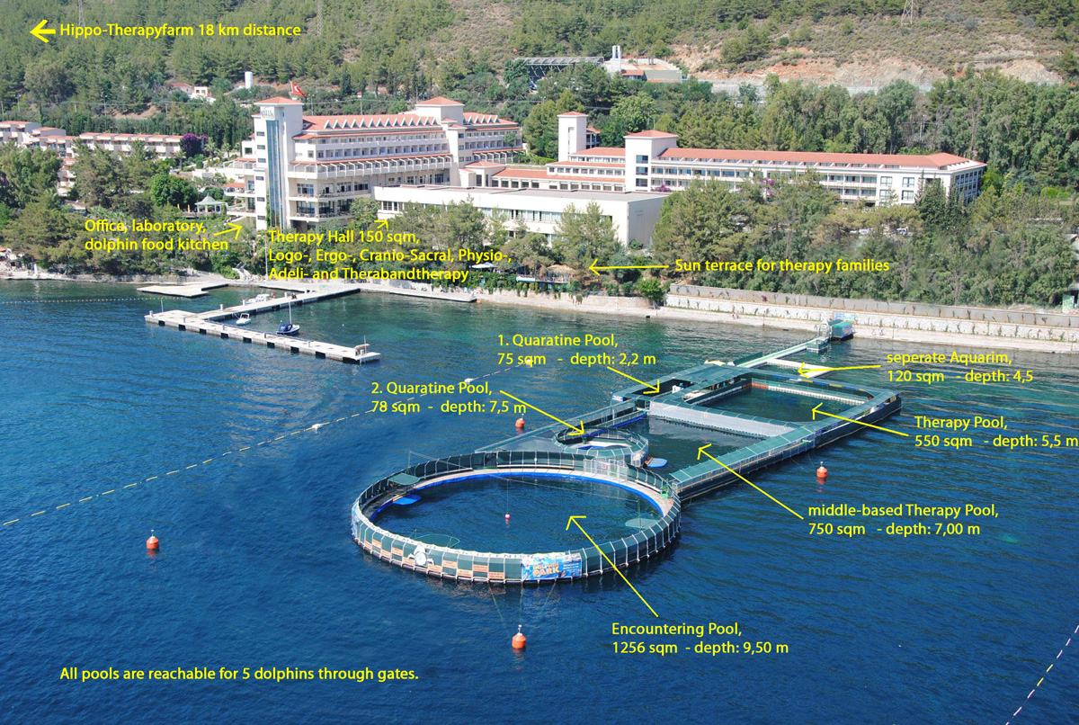 Onmega Dolphin Therapy Center actively supports animal protection