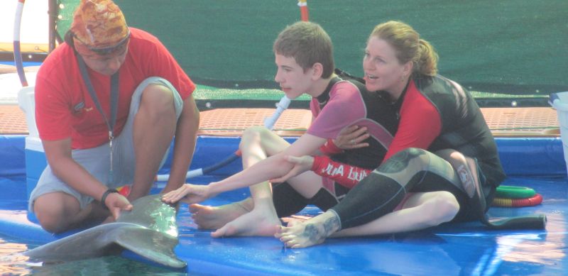 Dolphin Therapy for Dardan