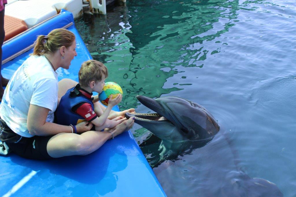Luke is swimming with dolphins in Turkey
